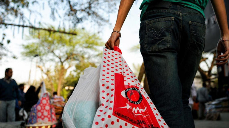 Convenience or entitlement? Indian start-up offers people to carry ...