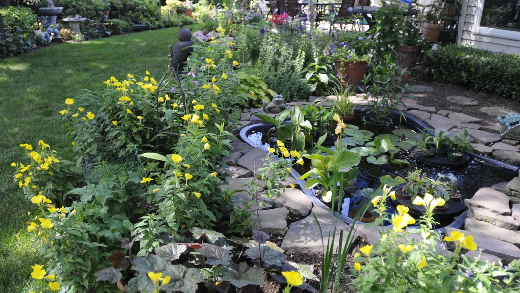 15 budget-friendly backyard oasis ideas