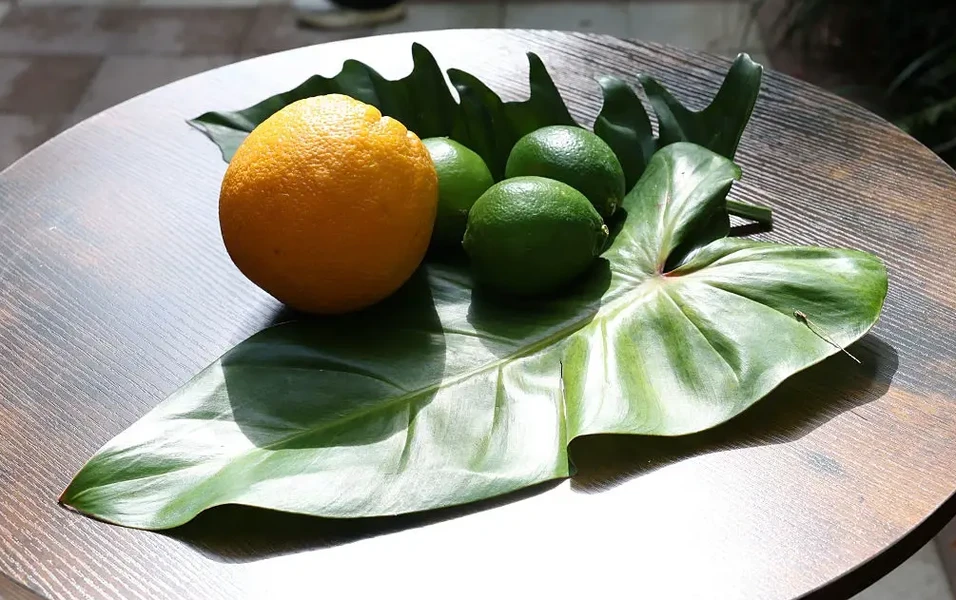 Hydrating foods that keep you glowing this summer