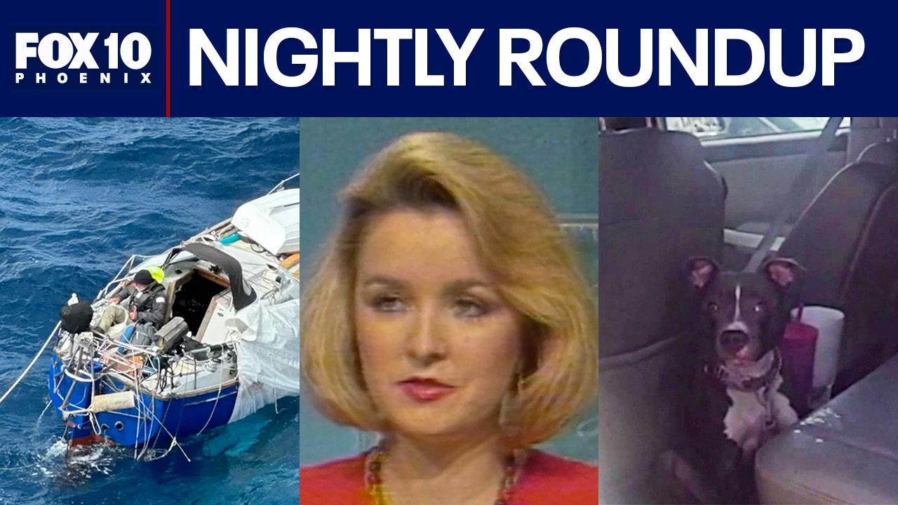'Potential suspect' in news anchor disappearance; body of missing ...