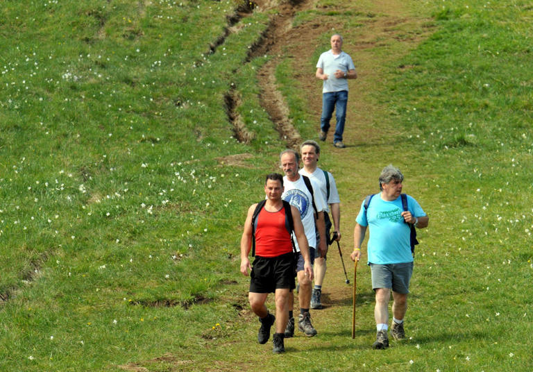 I cammini della Romea Strata. Escursioni 'lente' per tutta l’estate