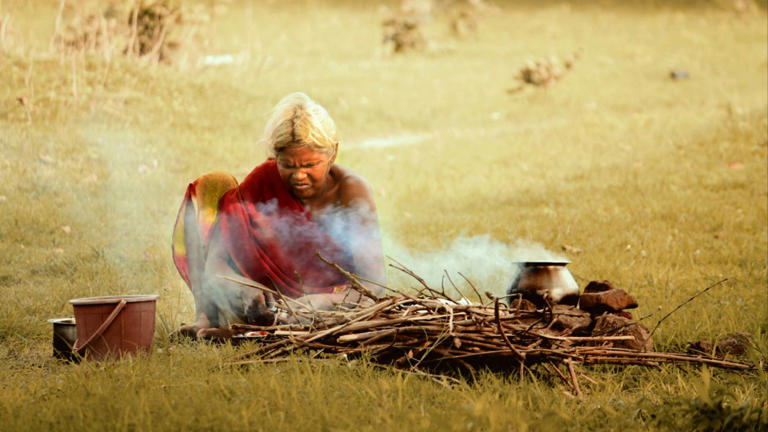 How ancient humans learned to cook