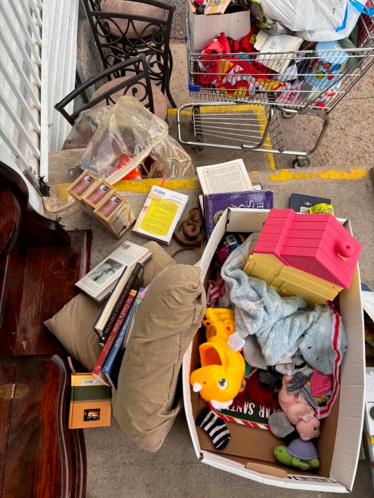 Mingo County pantry workers find venomous snake in donation bag