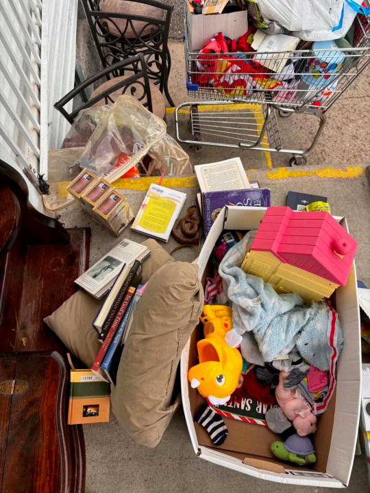 West Virginia pantry workers find venomous snake in donation bag