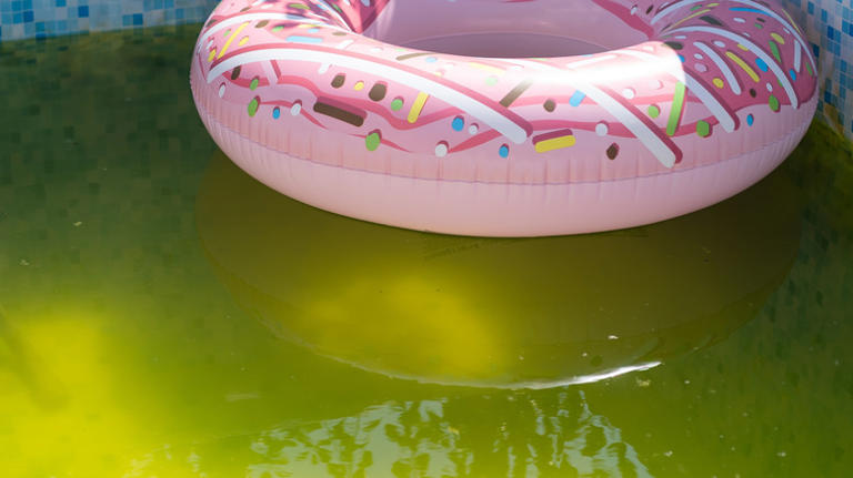 The benefits of installing a stock tank pool in your yard