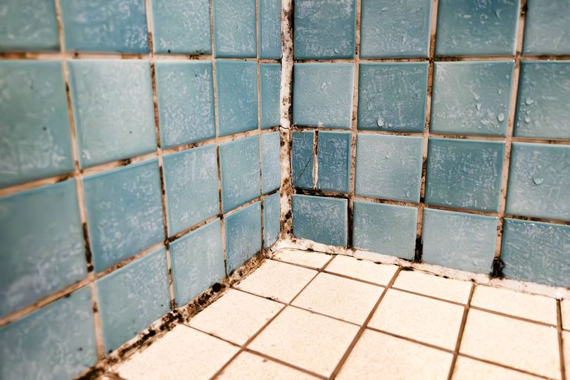 Mould will be gone for good when cleaned with 1 household item that’s ...