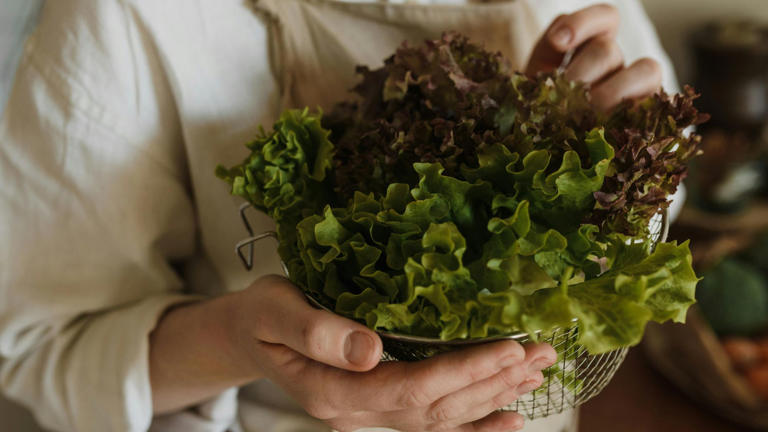 The unspoken hierarchy of lettuce