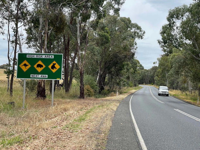 Dangerous three-month road trend costing Aussie drivers $9,000: 'Major ...