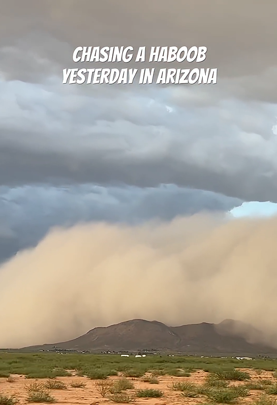 Dust storm in southeastern Arizona: Haboob and monsoon weather footage