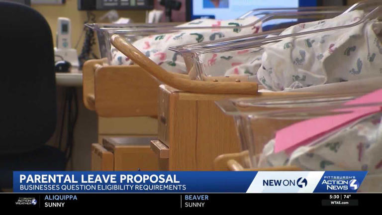 Public voices input, concern on proposed parental leave policy in ...