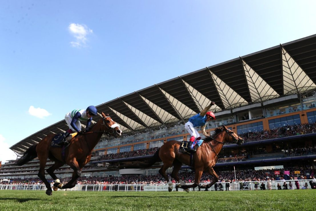 Report calls for overhaul of horse racing betting industry