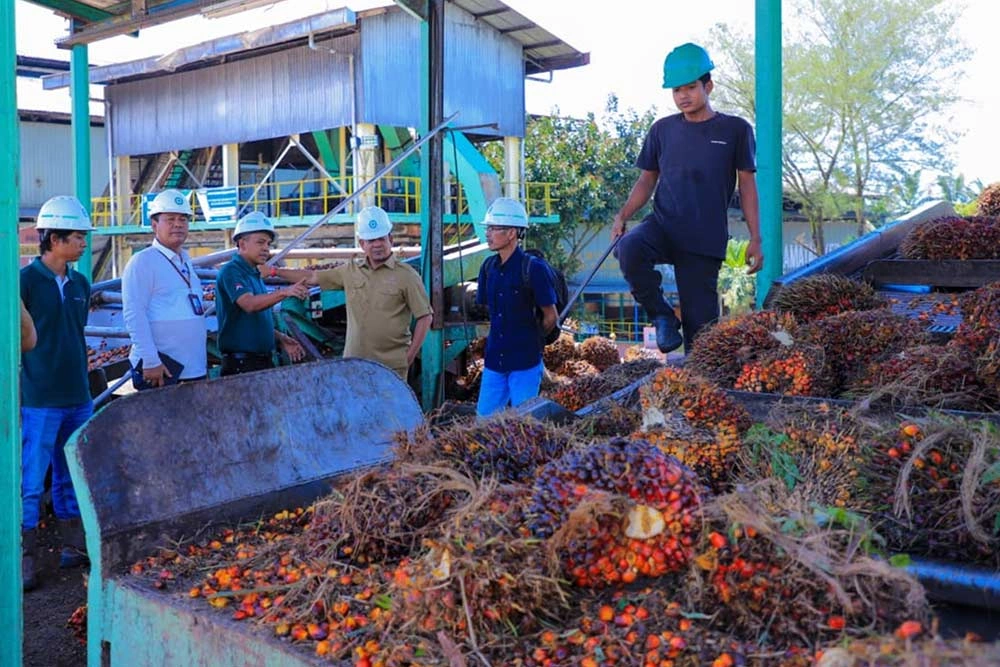 Wabup Rohul sidak PKS, temukan harga TBS sawit masih di bawah ketetapan ...