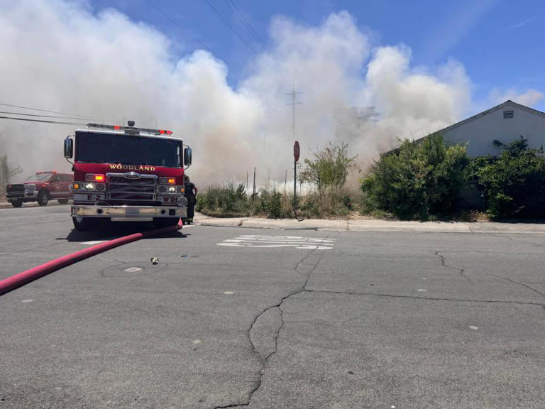 3 cats killed in Woodland house fire, crews say