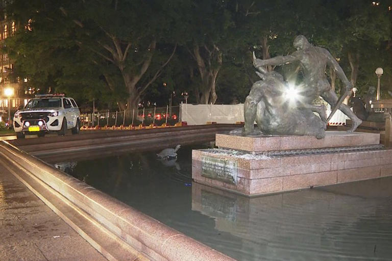 French national crashes rental car into iconic Sydney fountain