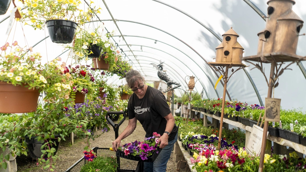 8 flowers for year-round garden beauty