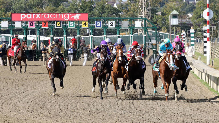 Parx trainer to serve no suspension in HIWU testosterone case