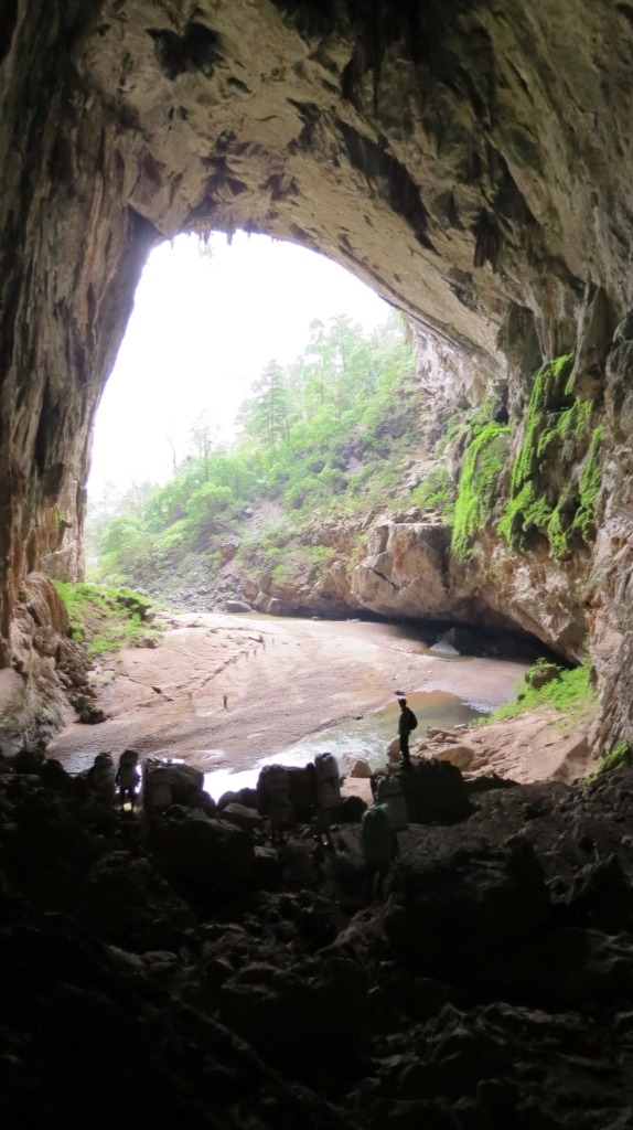 The cave in Vietnam so vast it has its own jungle, river, and weather