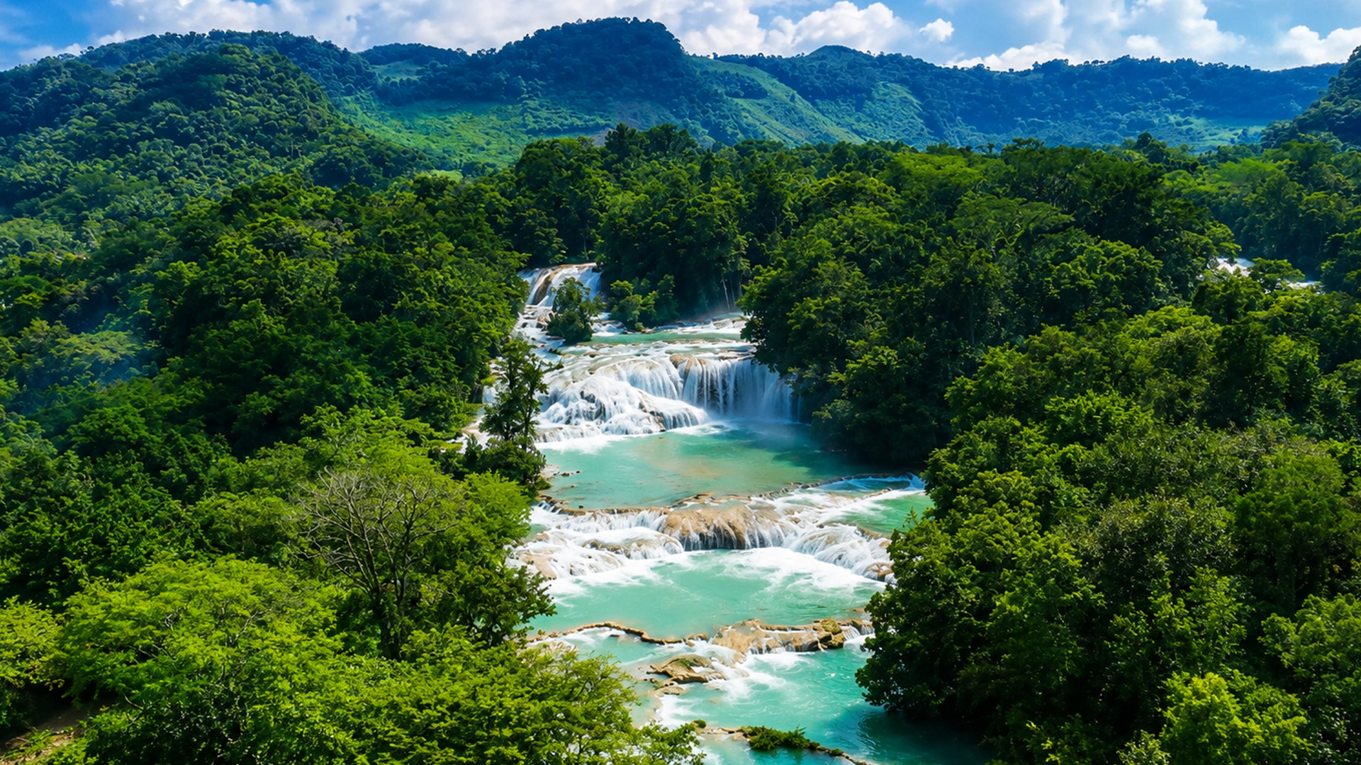 A jungle river few roads can reach