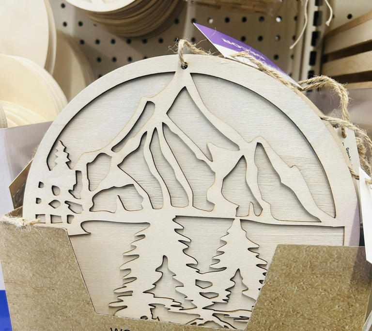 I found the prettiest Dollar Tree items for the naturemaxxing trend!