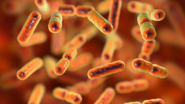 A hidden virus found in gut bacteria is linked to colorectal cancer