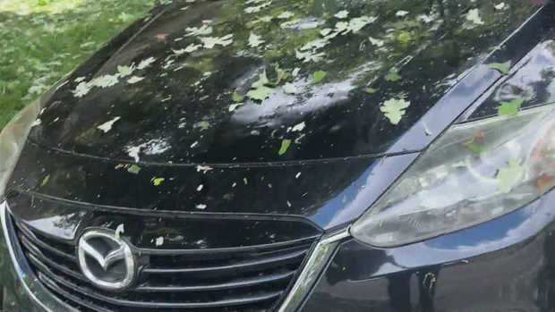 Hail Season is on, what Coloradans ought to know about insurance claims ...