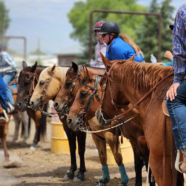 Kids in Bannock County are flocking to 4-H — and barns are running out ...