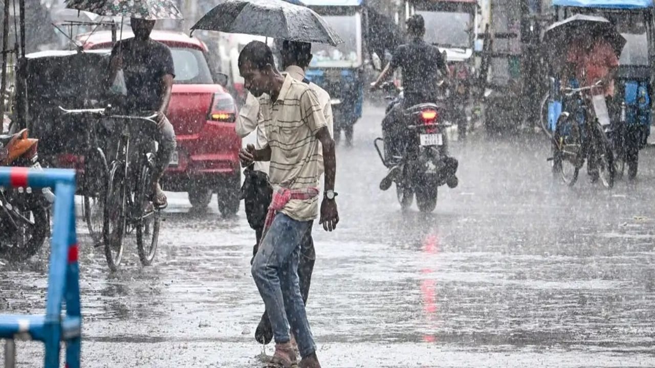 Tamil Nadu weather today: IMD predicts heavy rains in several parts for ...
