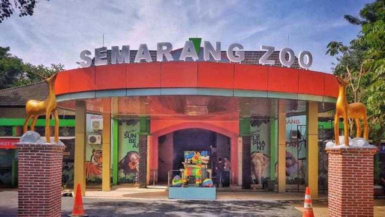 Harga tiket Semarang Zoo Juni 2026 untuk libur sekolah, ada animal show