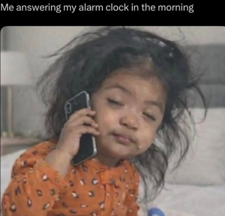 A mood boost in the shape of relatable memes for the average adult