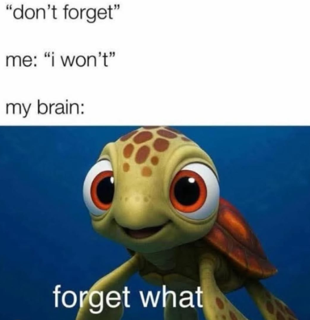 A mood boost in the shape of relatable memes for the average adult