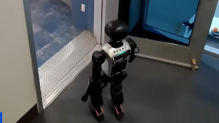 Humanoid robots won't be flying with Southwest Airlines anymore