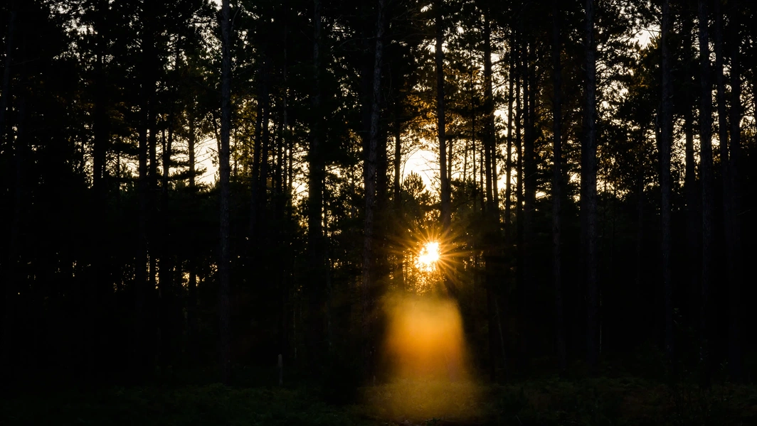 Exploring Minnesota’s historic trails and ancient forests