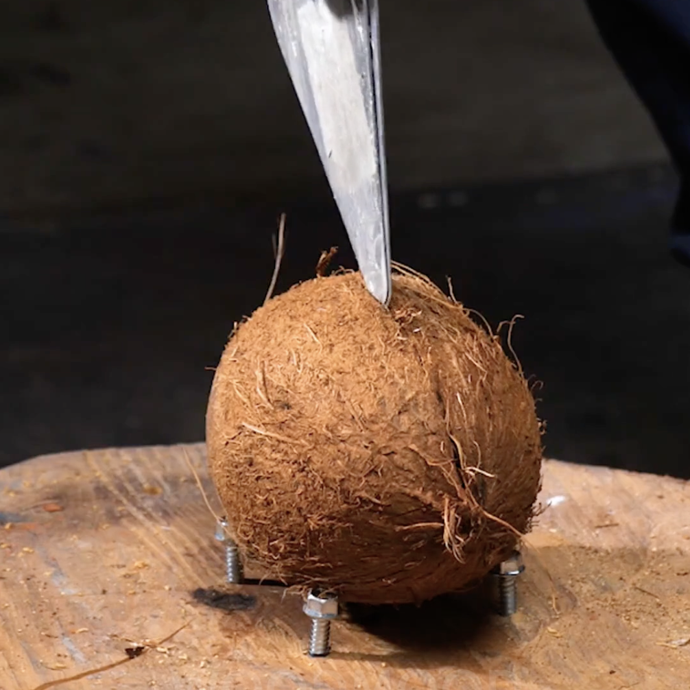 Discover the allure of coconut accessories
