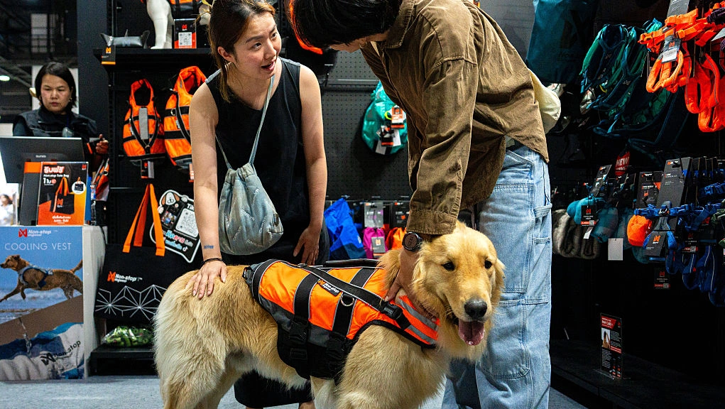 Inside the world of luxury pet wellness