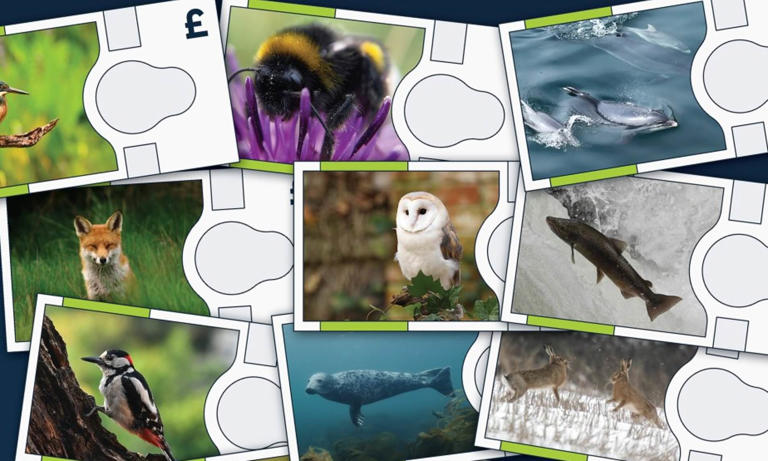 Got a pony on you? No but I've got two owls and a bumblebee: Brits to ...