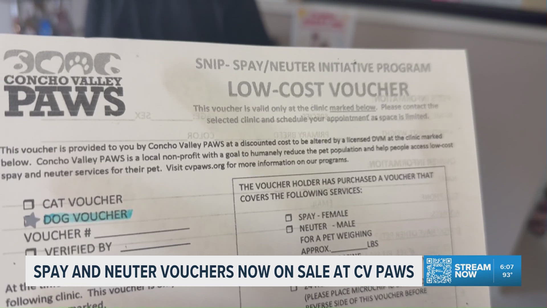 Spay and neuter vouchers now on sale at Concho Valley PAWS