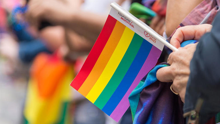 Chicago college removes LGBTQ pride flag over institutional neutrality ...
