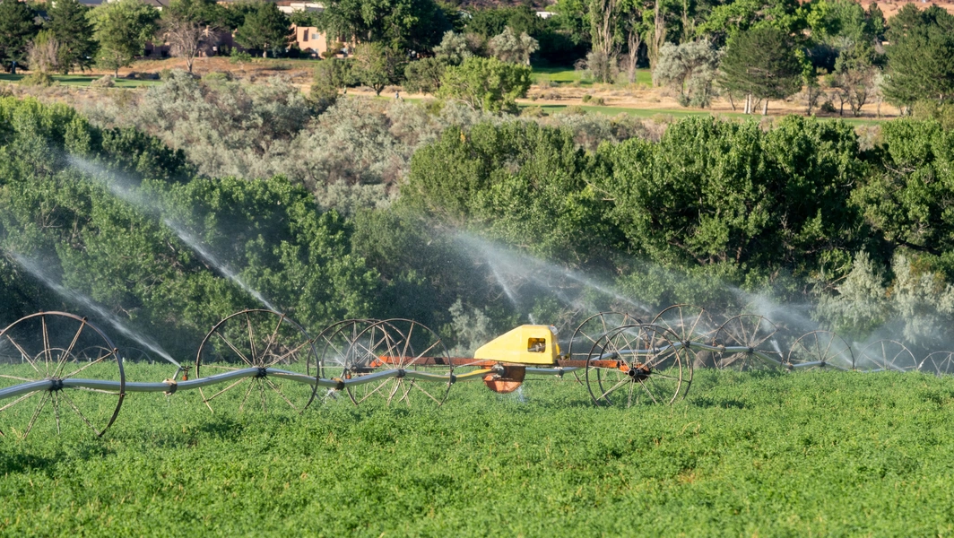 Smarter irrigation tips for thriving crops