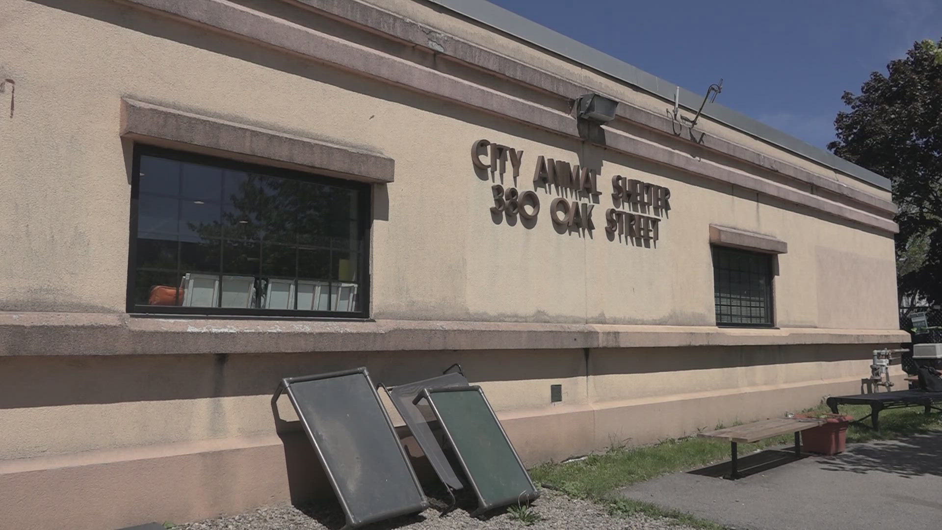 Buffalo animal shelter gets $410k+ in funding