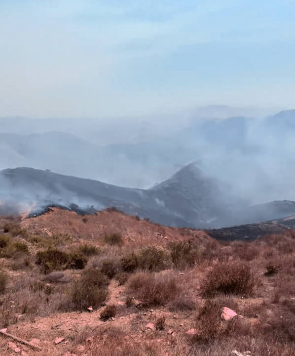 2,600-acre brush fire spreads across US.-Mexico border into San Diego