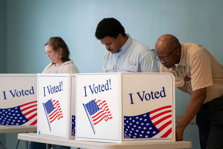 Early primary election results show McCann leading for mayor of Chula Vista