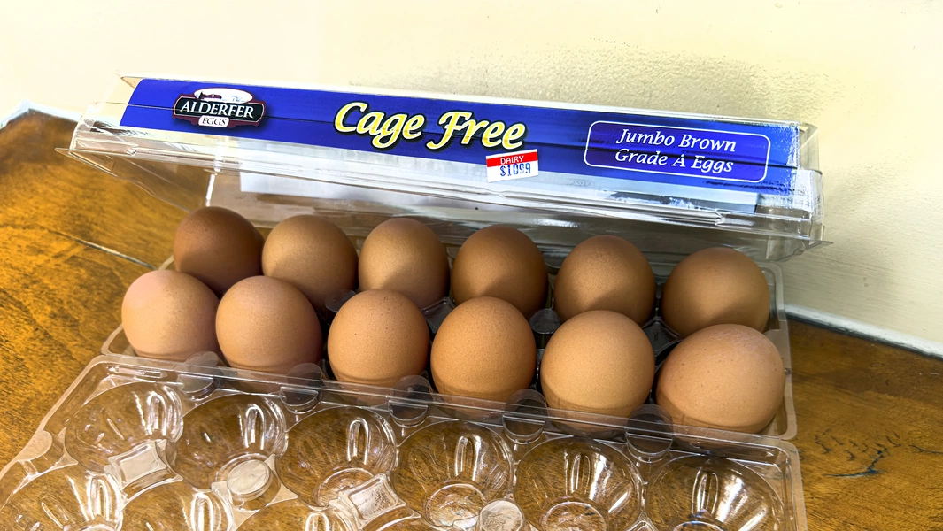 Pasture-raised eggs offer welfare benefits, modest nutrition gains