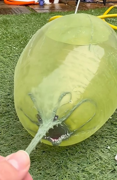 Watch croc explode giant inflatable crocodile challenge