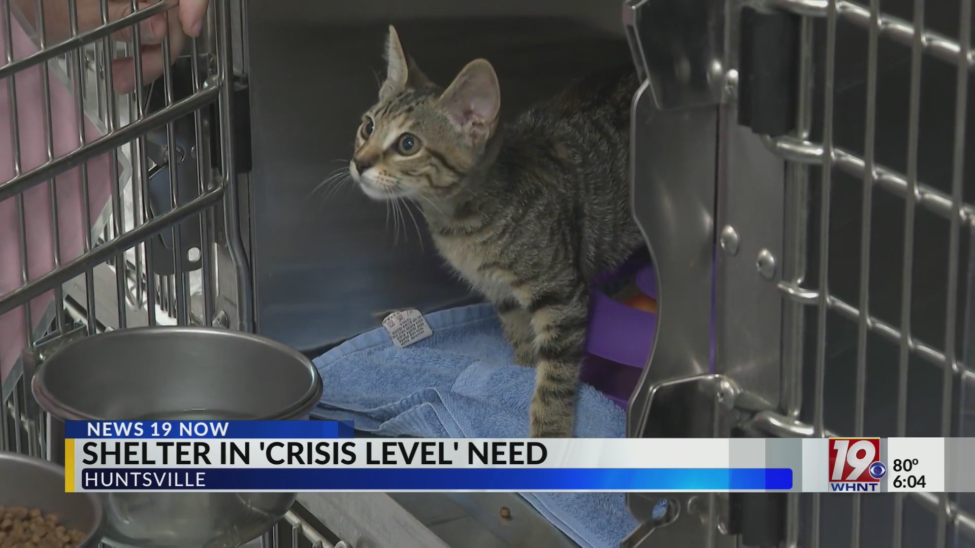 Shelter in 'crisis level' need | June 2, 2026 | News 19 at 6 p.m.