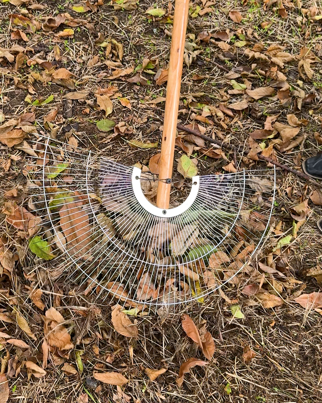 Say goodbye to leaf clutter with this DIY tool 🍁