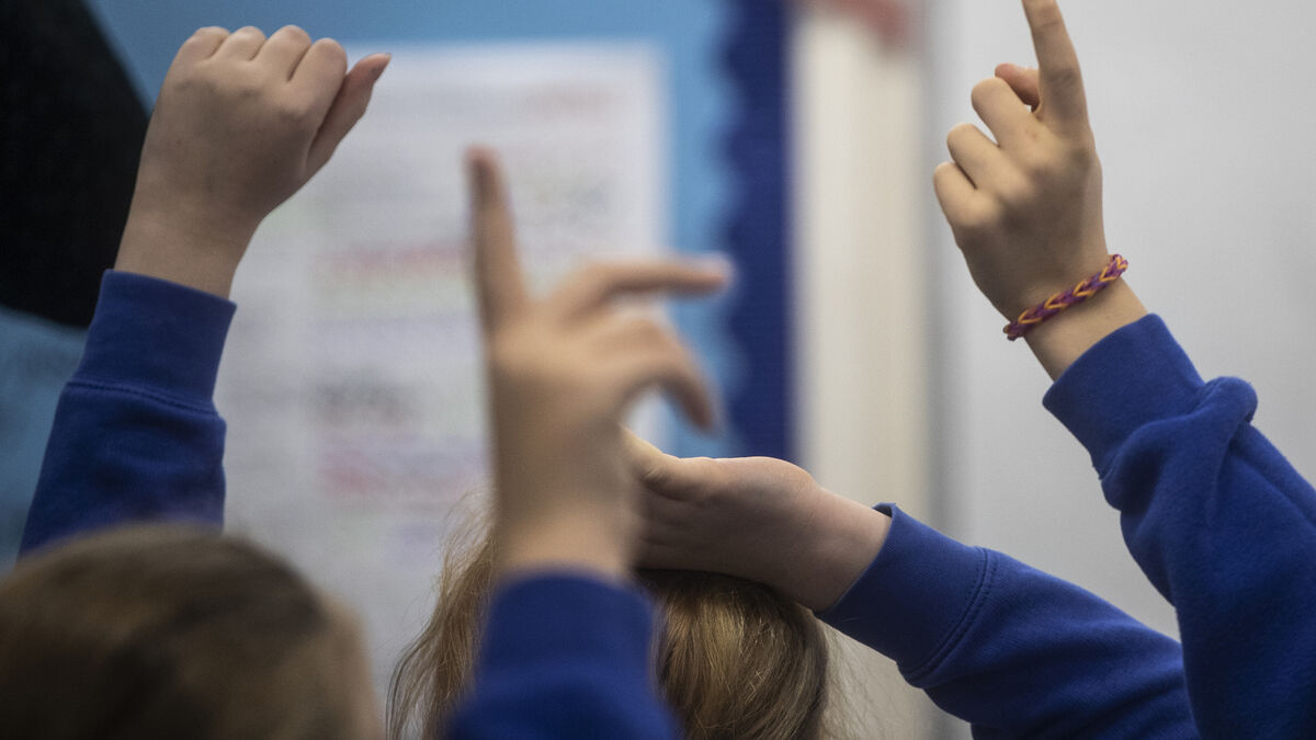 Government to publish special needs assistant workforce development plan