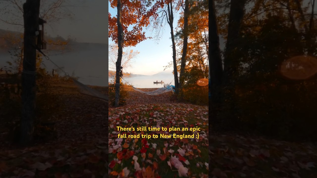 Fall in New England hits different 🍁 #fpv #newengland #fall