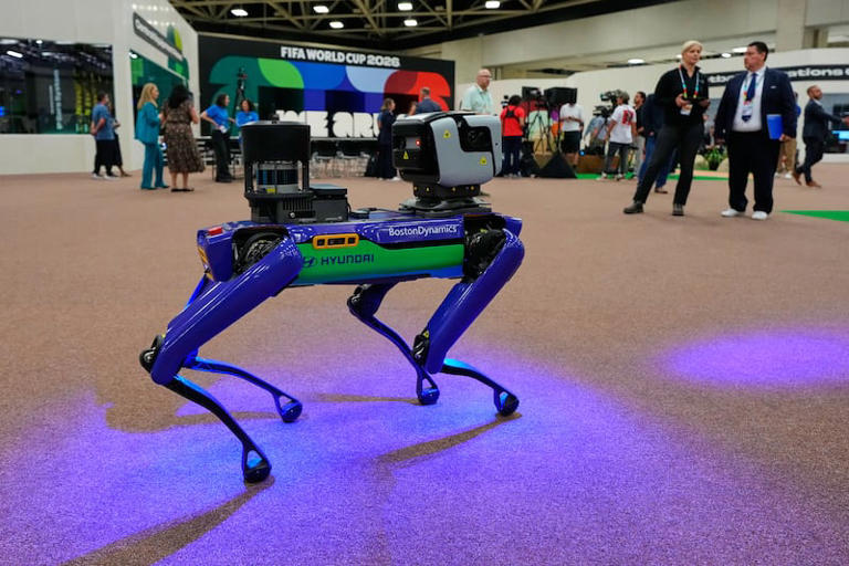 What are robo-dogs doing at the FIFA World Cup?