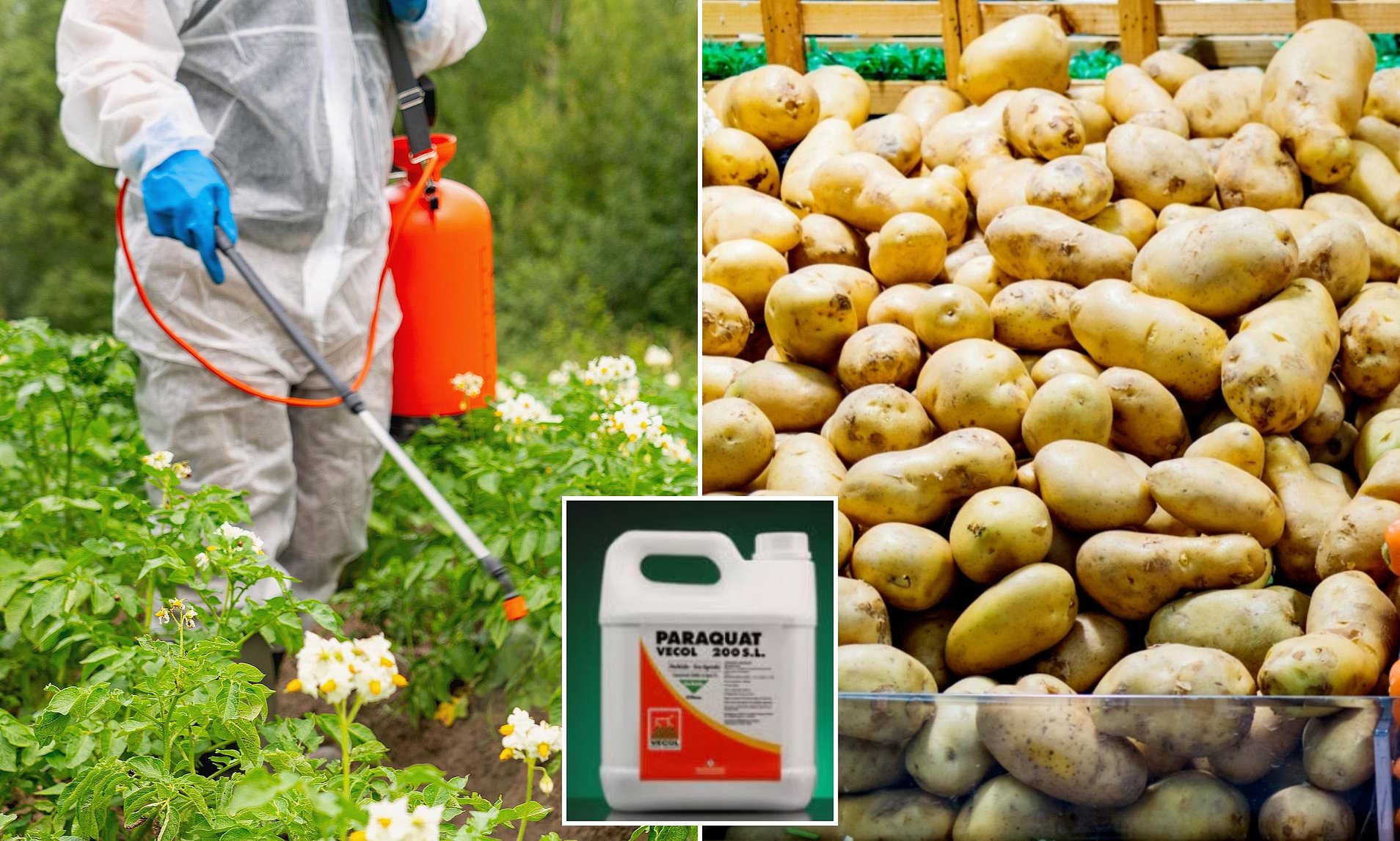Outrage over weed killer used in Australia but banned in 70 countries ...