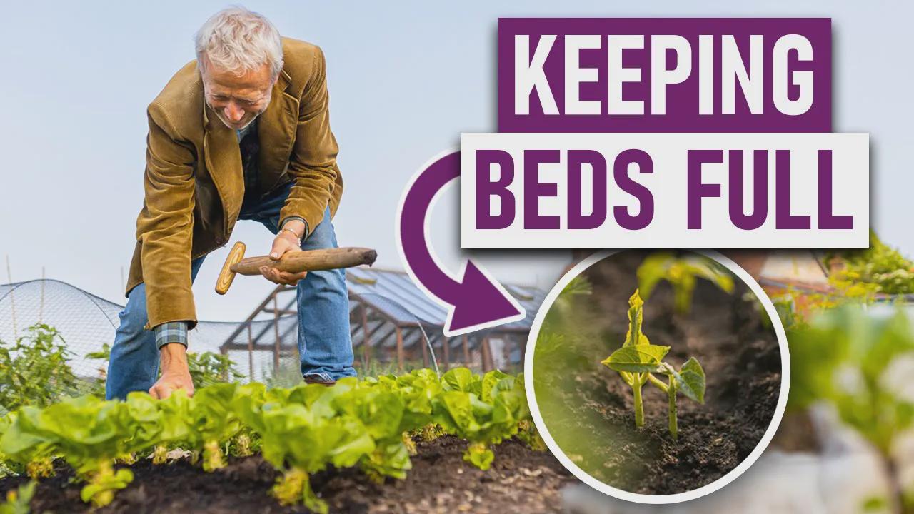 More options and rapid planting with no dig